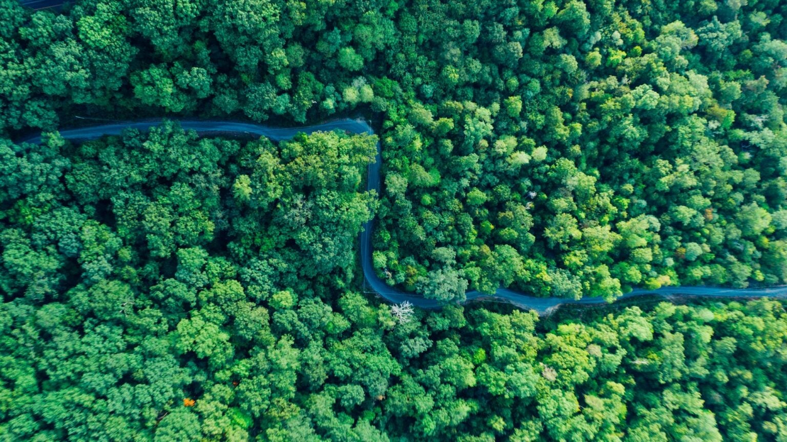 ASI – Accreditation for Sustainability Standards